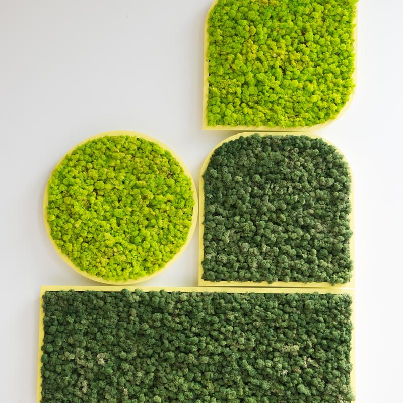 Green Wall Acoustic Panel Anti-noise - ACOUSTIC MOOD