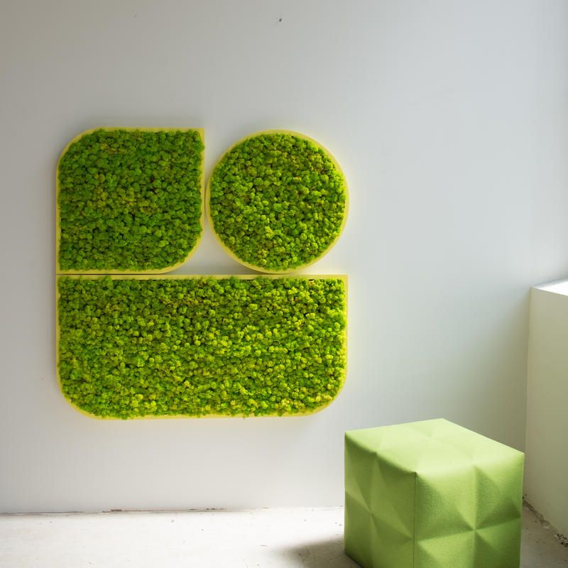 Green Wall Acoustic Panel Anti-noise - ACOUSTIC MOOD