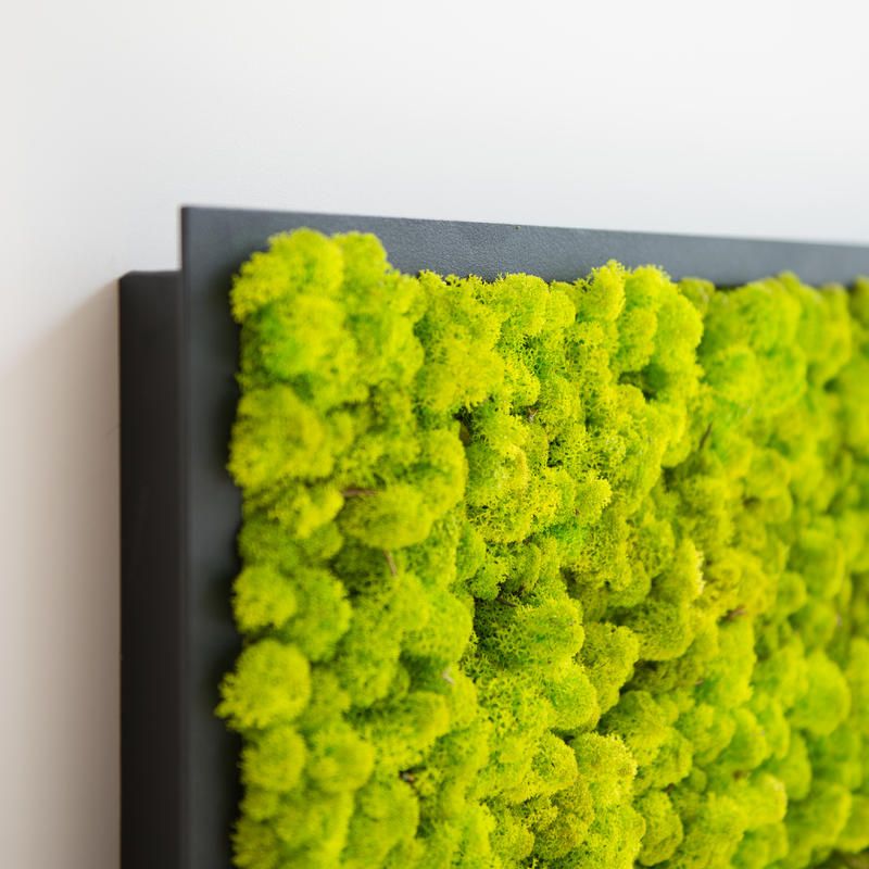 Green Wall Acoustic Panel Anti-noise - ACOUSTIC MOOD