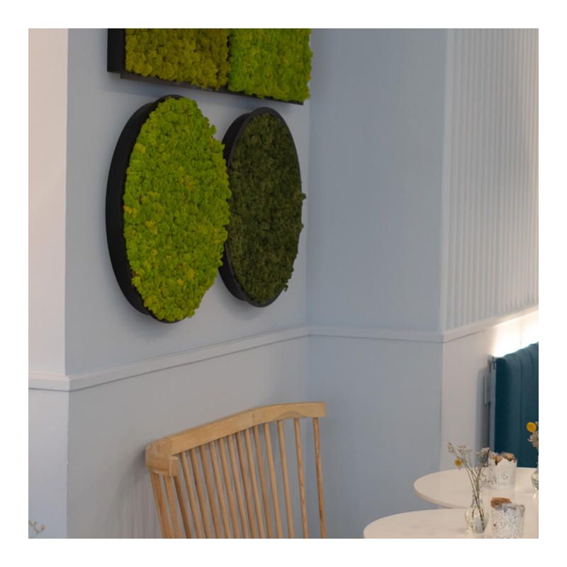 Green Wall Acoustic Panel Anti-noise - ACOUSTIC MOOD